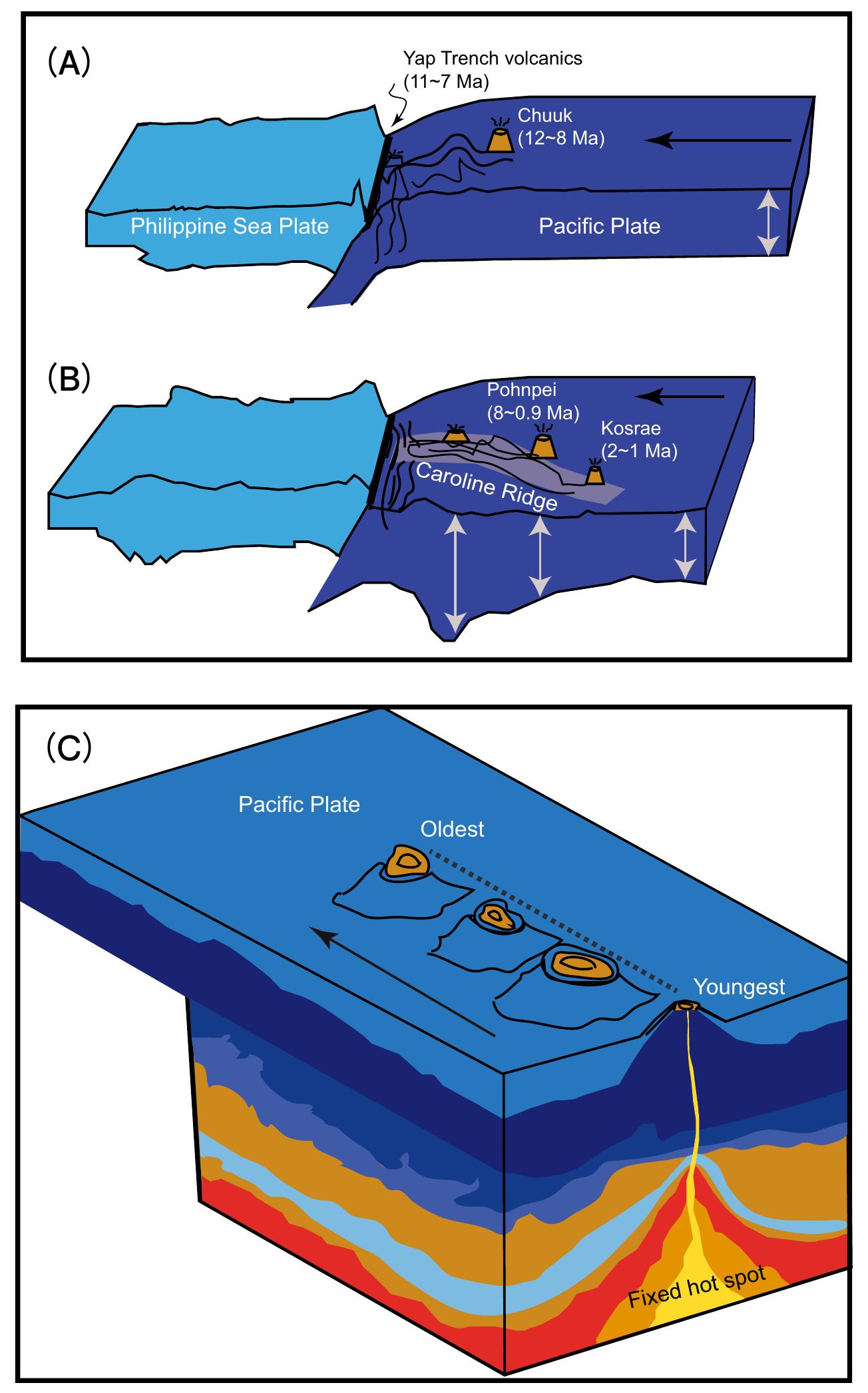 Schematic diagram comparing (a and b) the formation of the