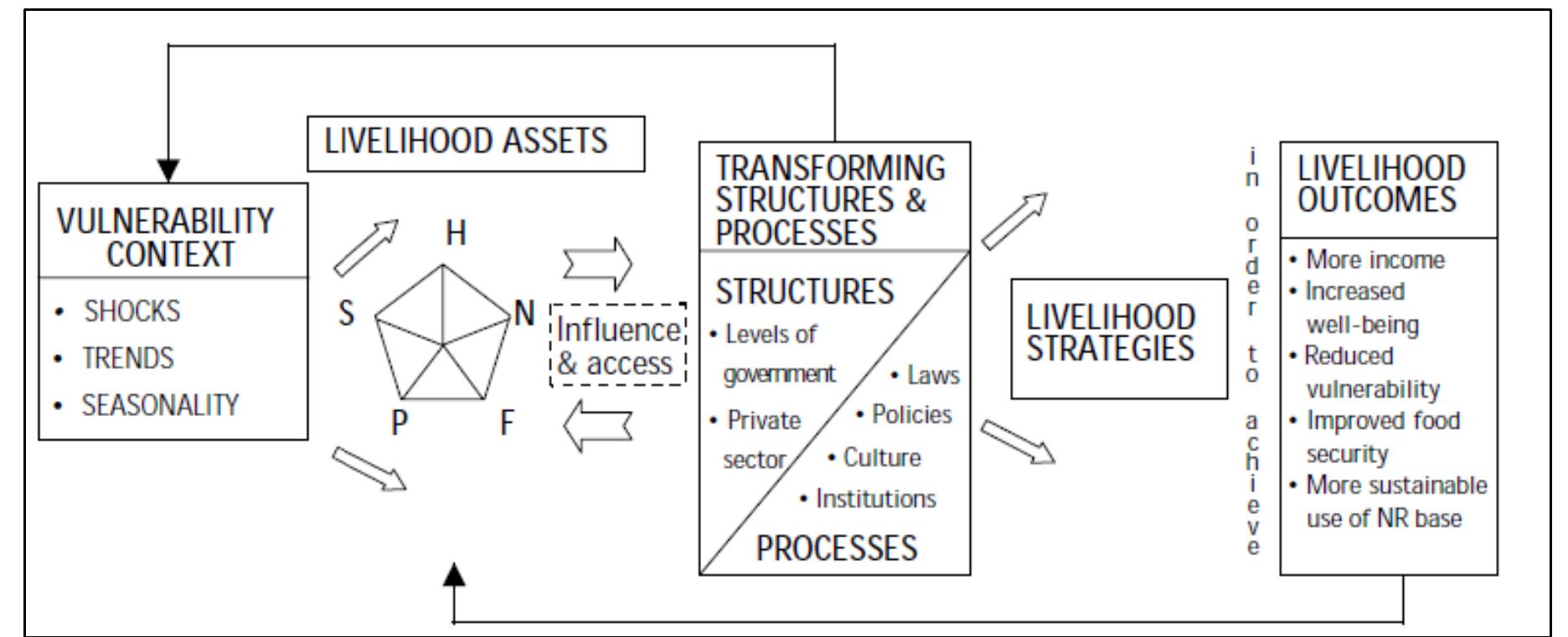 Sustainable livelihoods. diagram 3. sustainable livelihoods