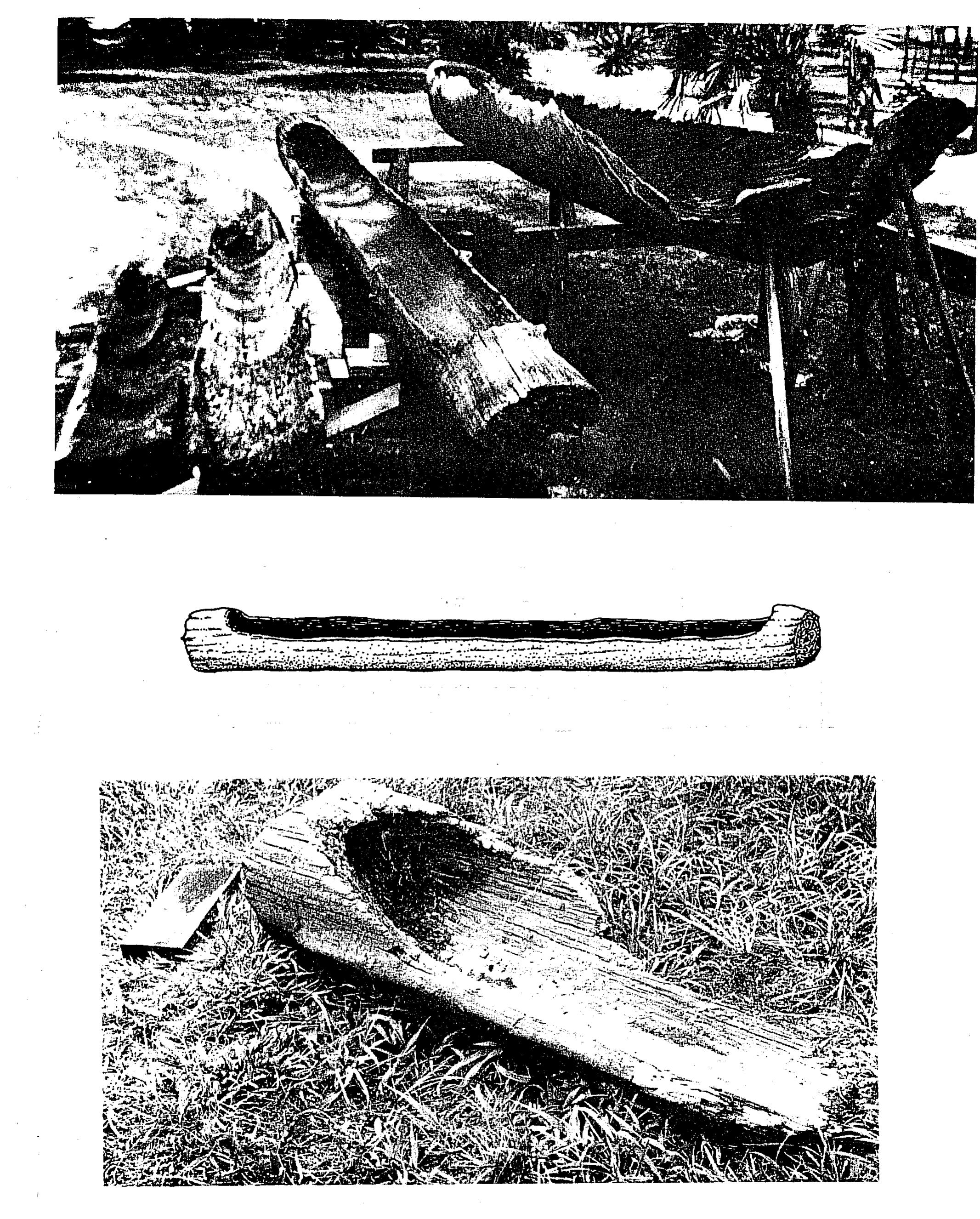 Figure 27 - The Dugout Canoe in the Americas: An
