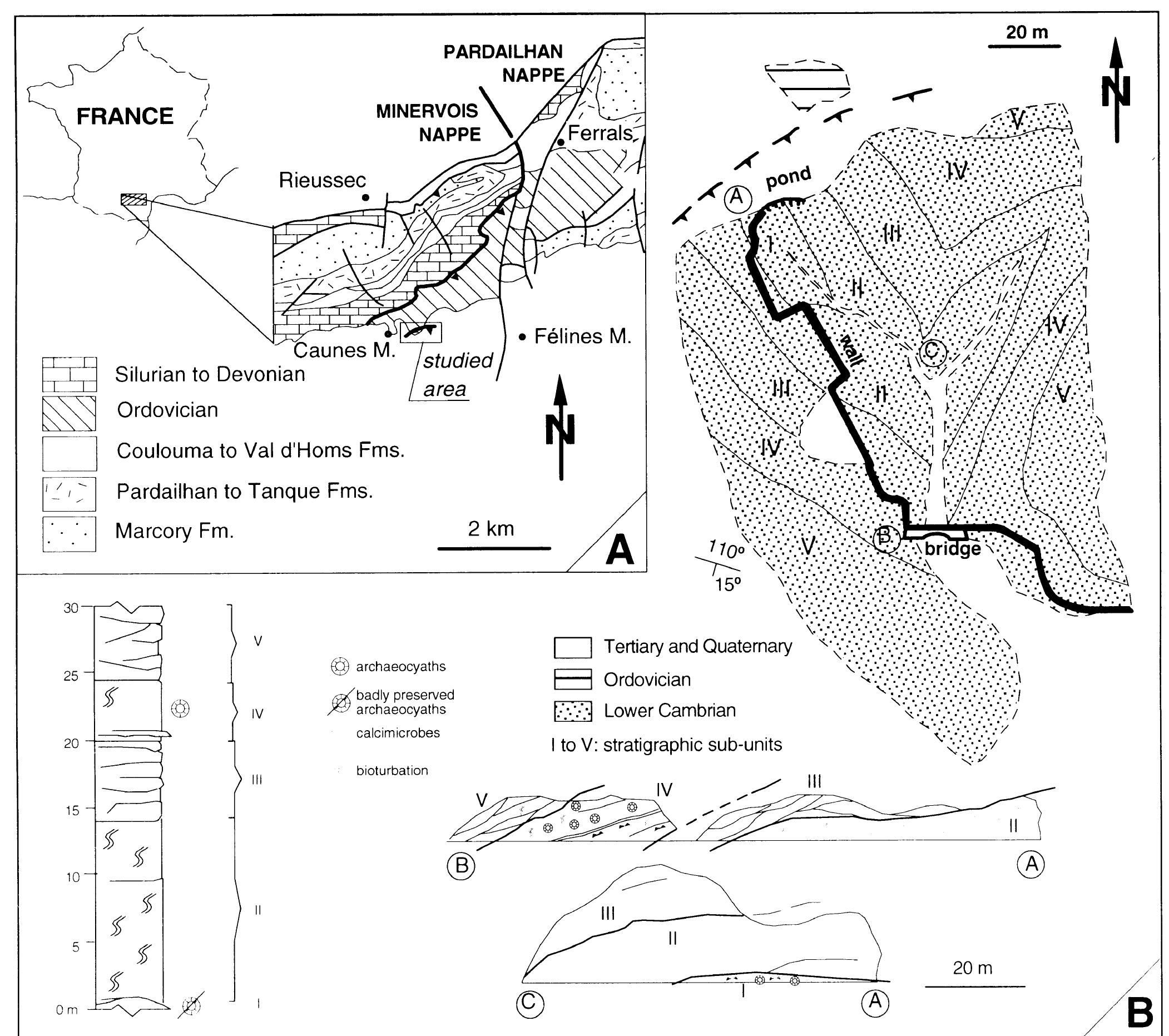 (a) geological sketch map of the caunes-minervois thrust