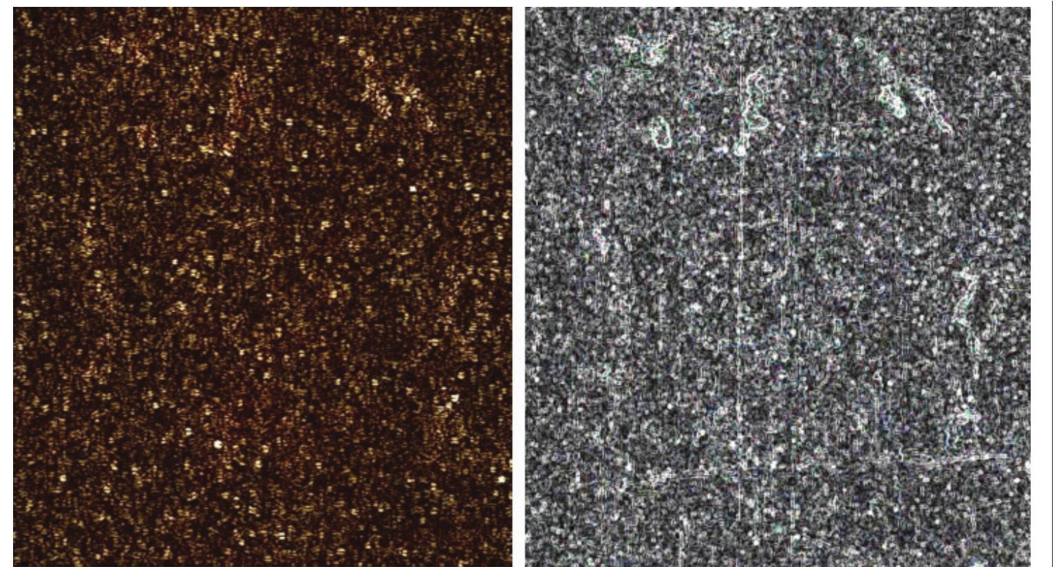 Processed Image Using Sobel Tran Sform Filter With Gimp2