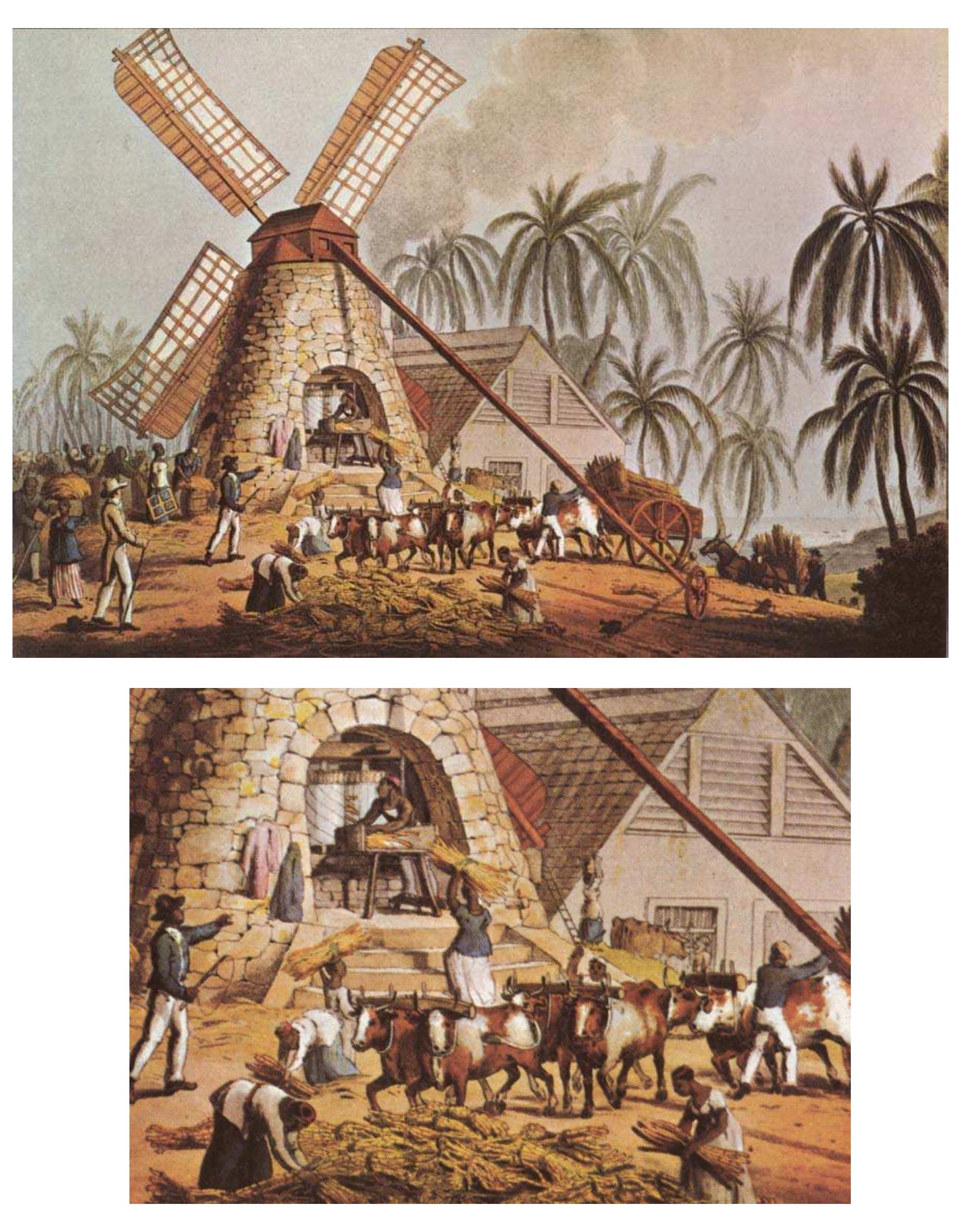 A windmill and adjacent boiling house at gambles, on the
