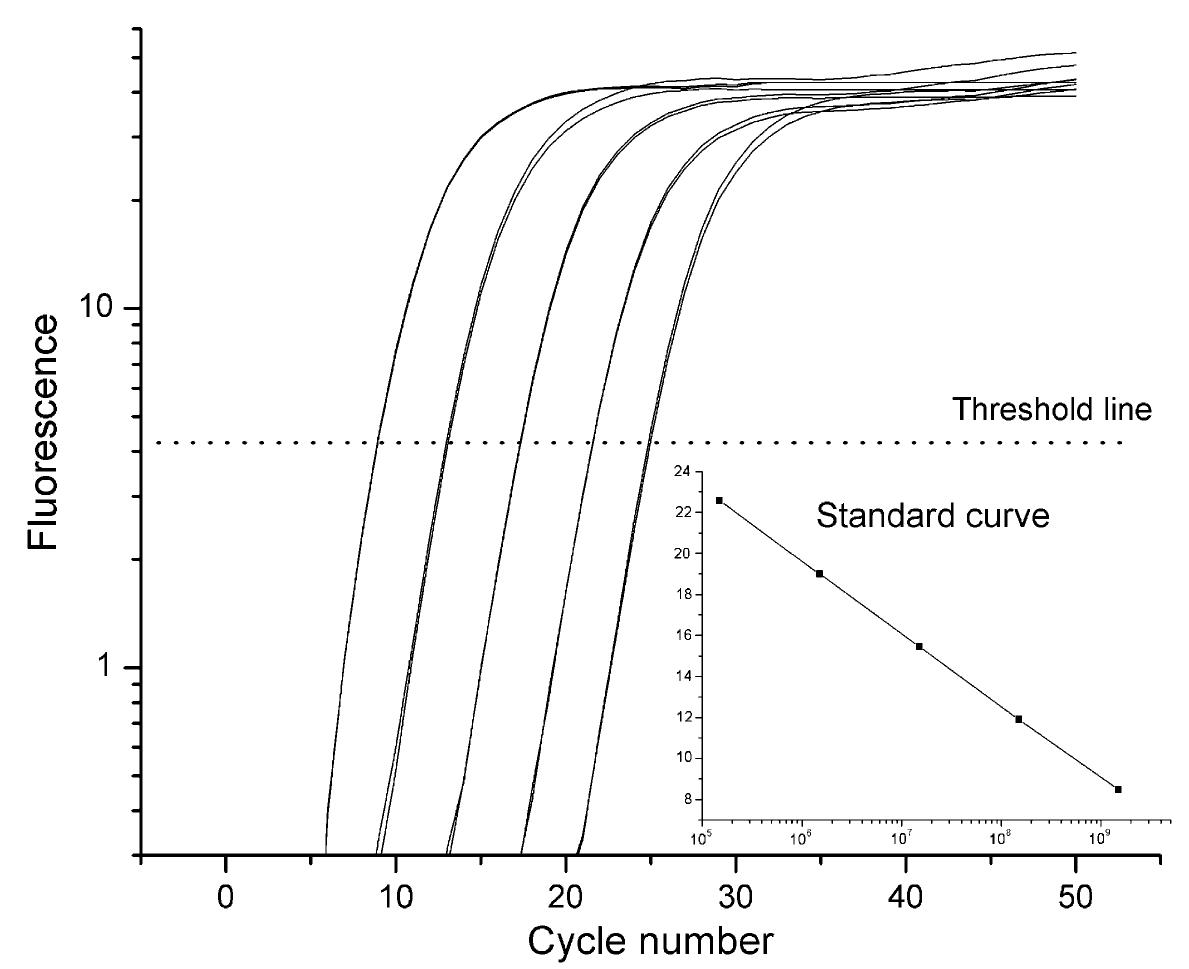 Real-time pcr standard curve. real-time pcr response curves
