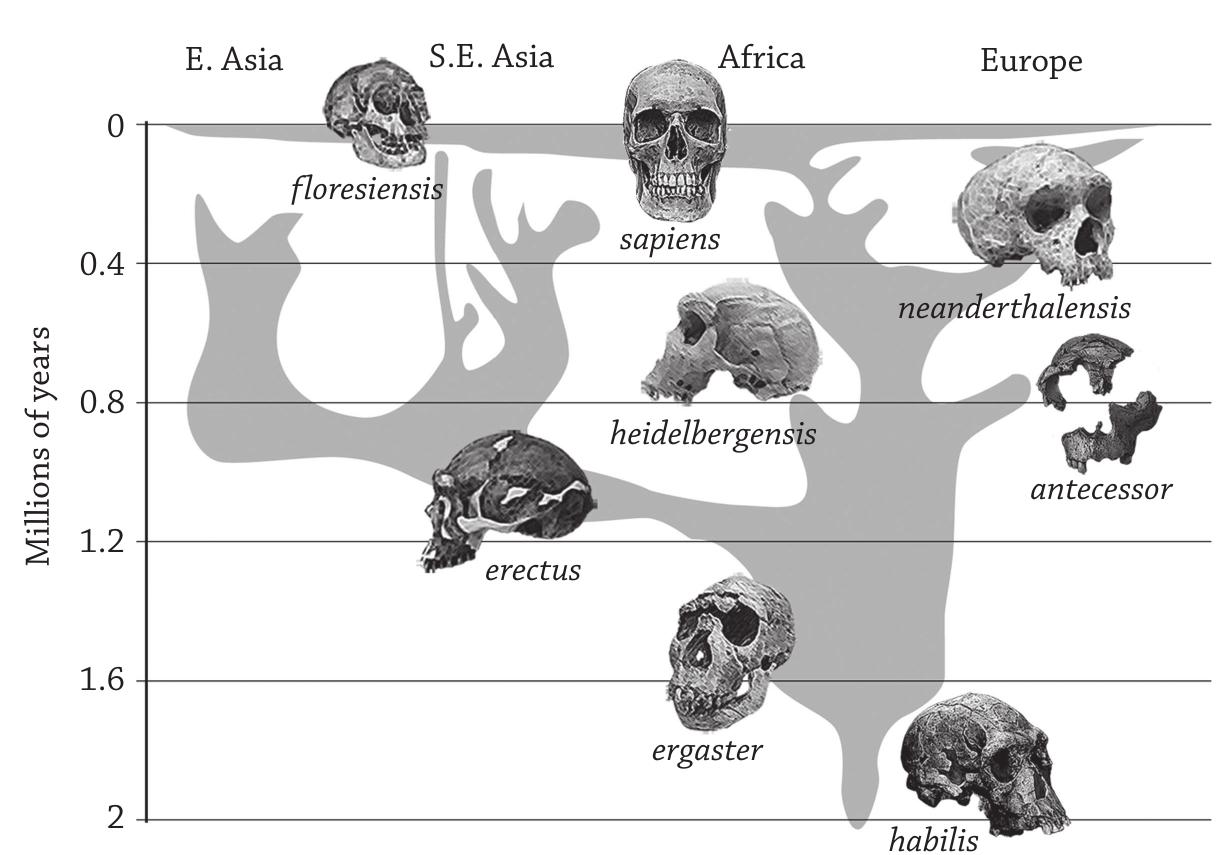 (PDF) Evolutionary Biology in a Catholic Framework