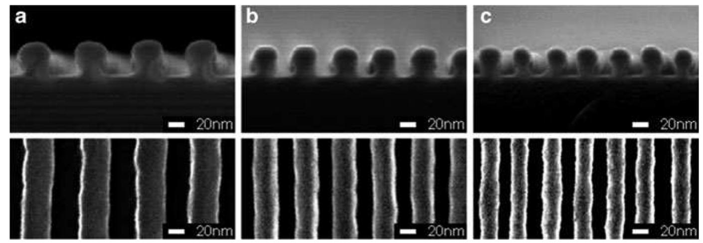 14 cross-section and top-view sem micrographs showing