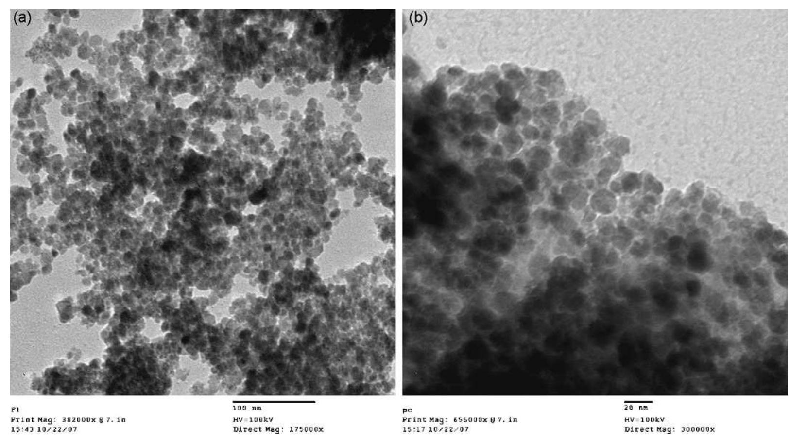 Tem image of y-fe203 (a) and pc12 (b) having 8-15 nm size