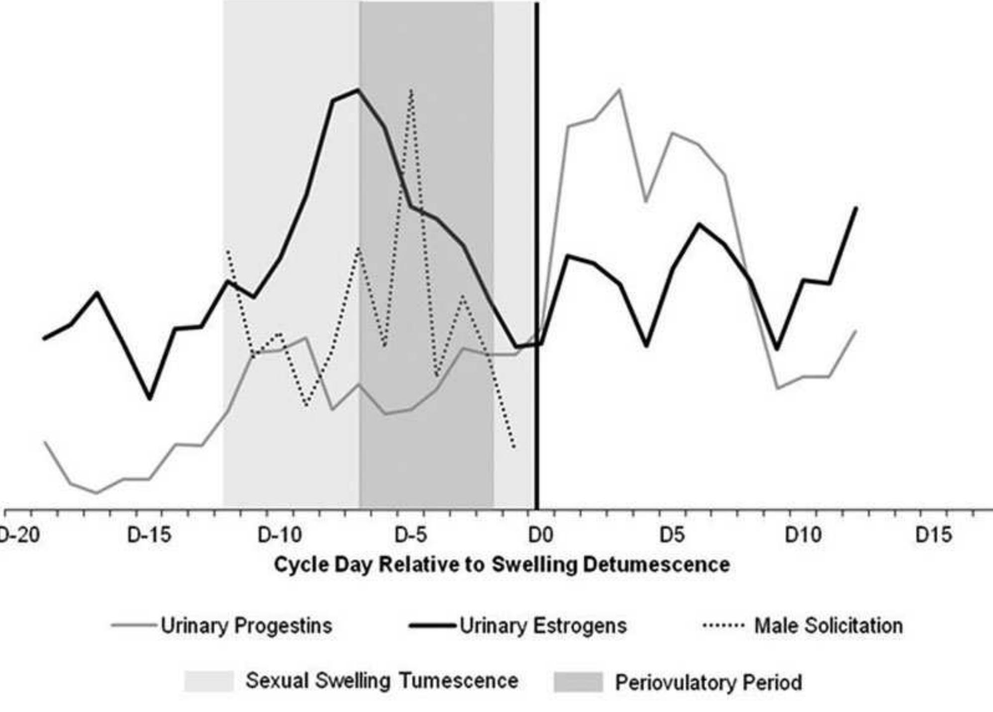 Ovarian steroid profiles and rate of male solicitation in