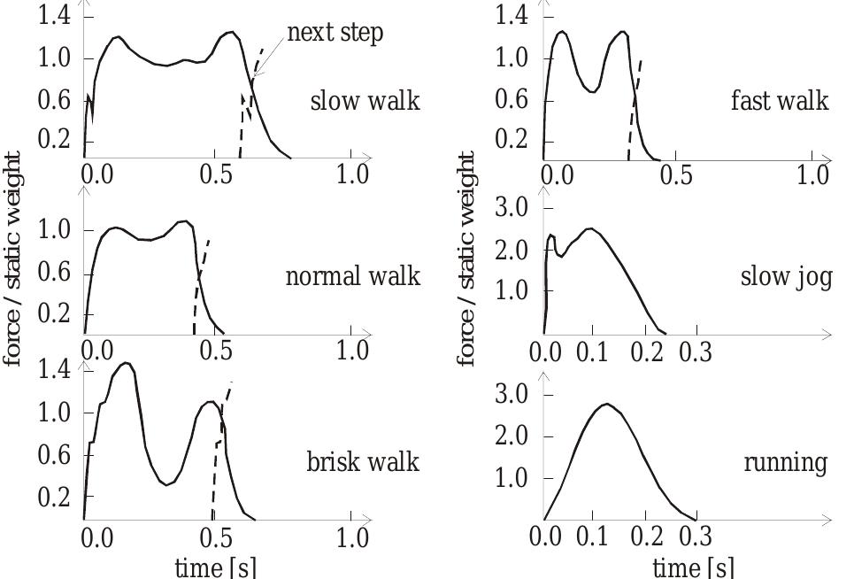 Typical vertical force patterns for different types of human