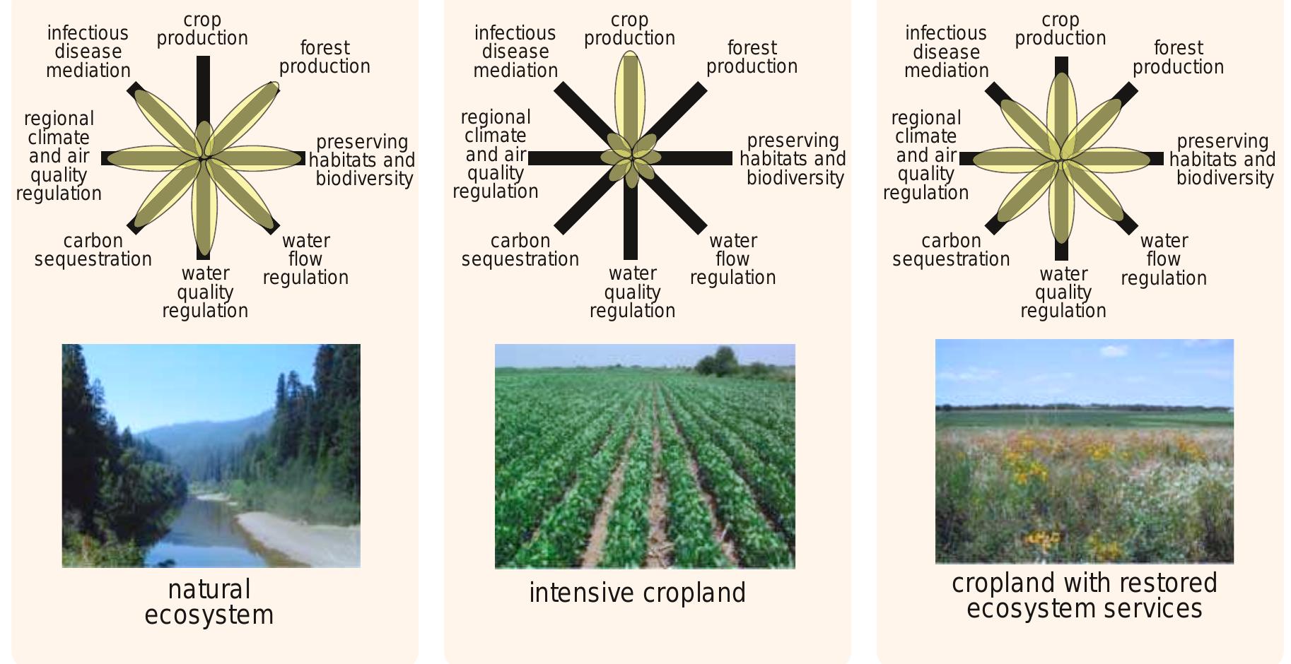 (PDF) Global consequences of land use