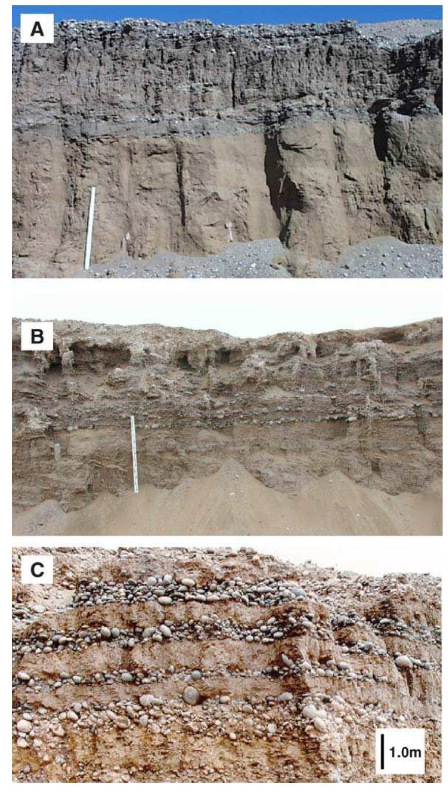 Examples of plio-pleistocene subtidal units, southernmost