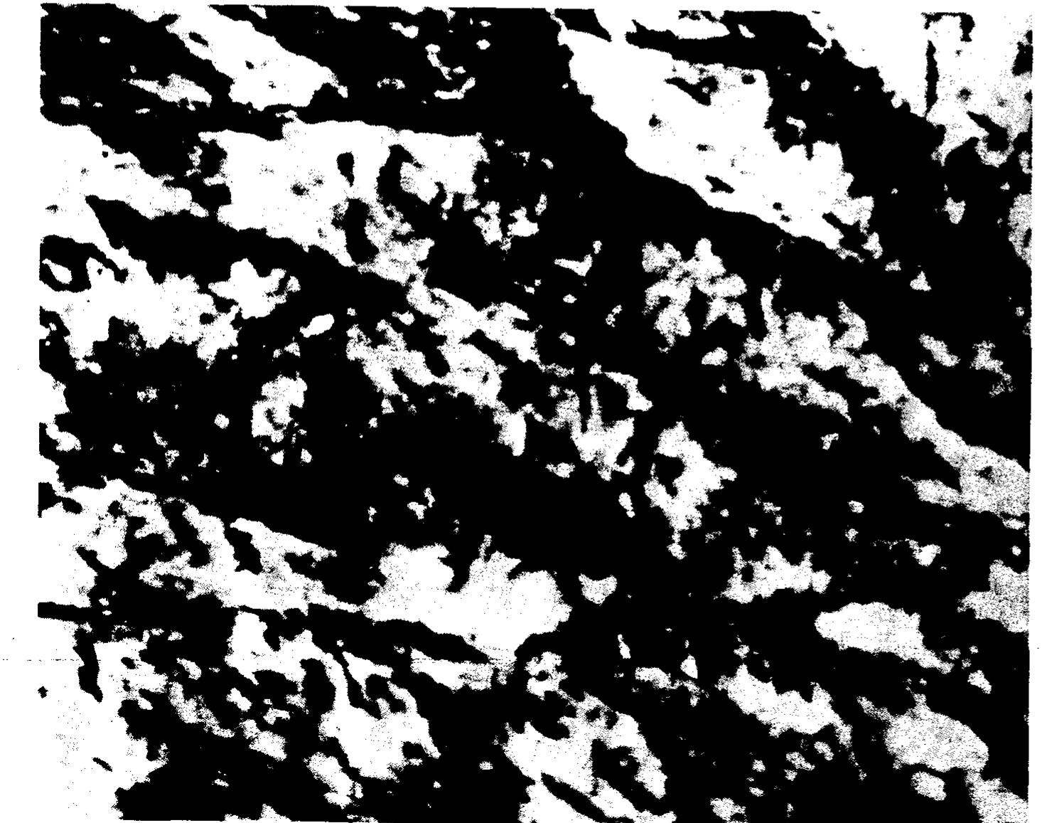 26. cementite (dark laths) formed during tempering a 0.42 c