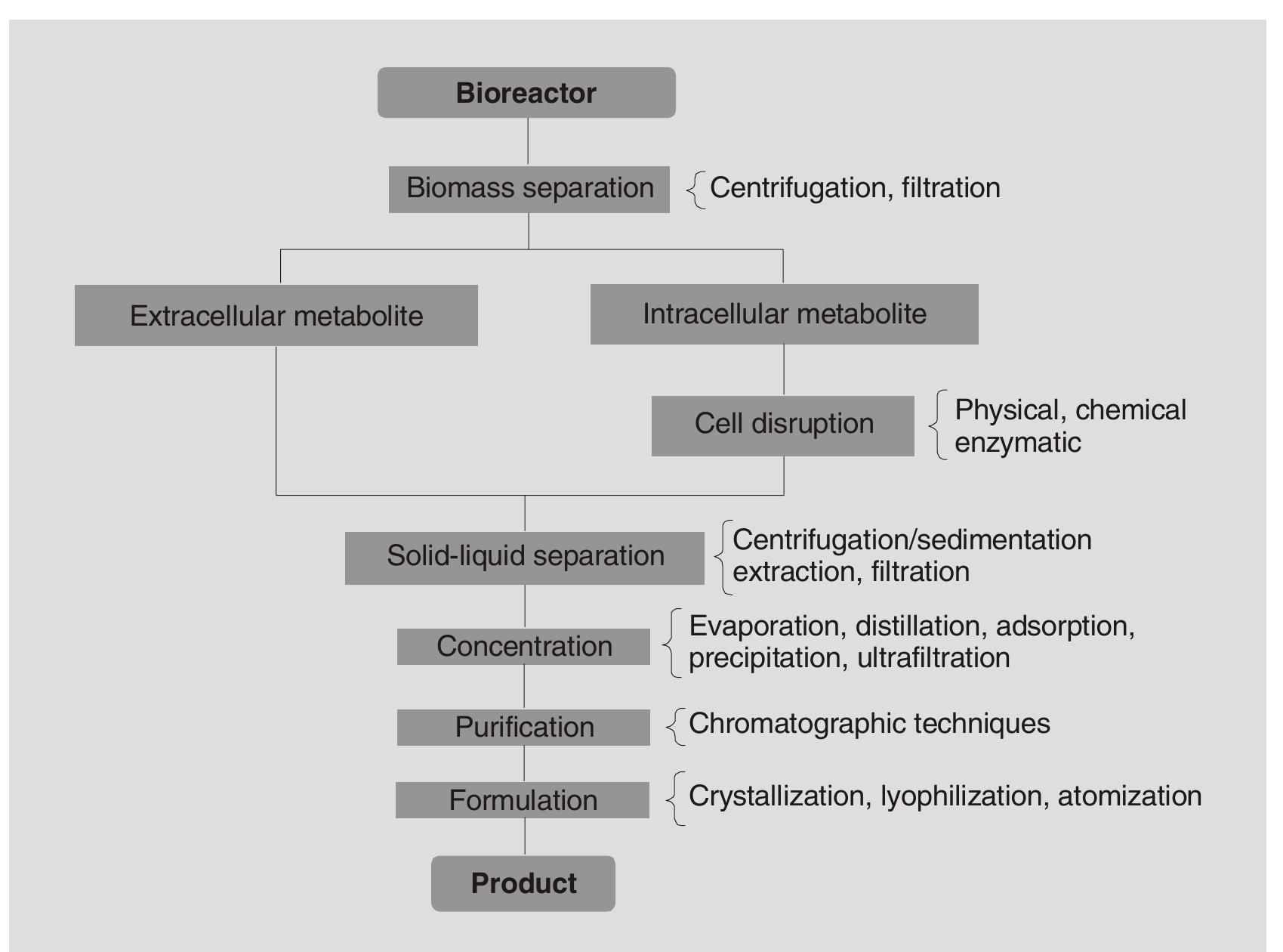 8. downstream process activities and techniques.