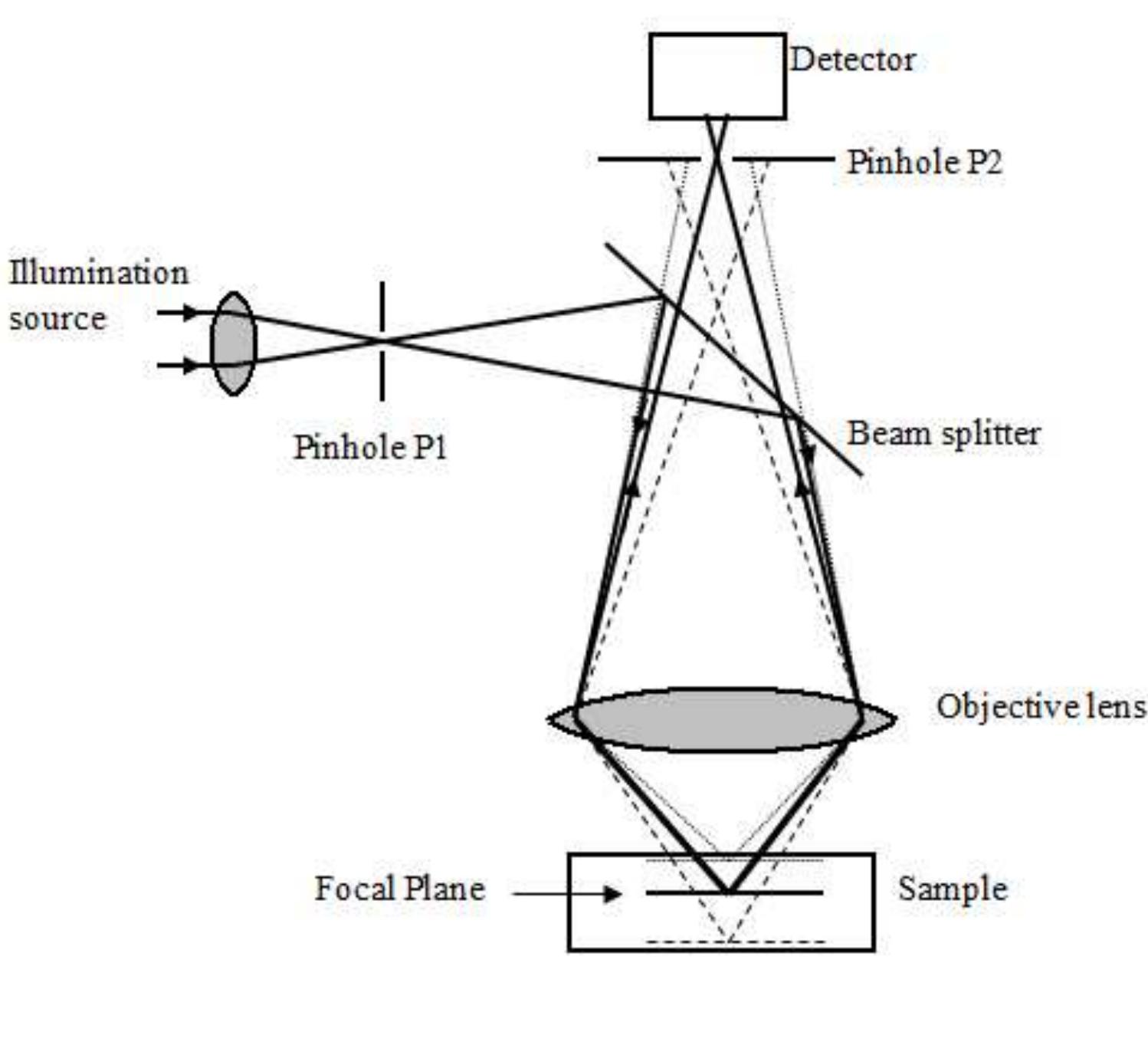 A schematic diagram showing the basic concept of the