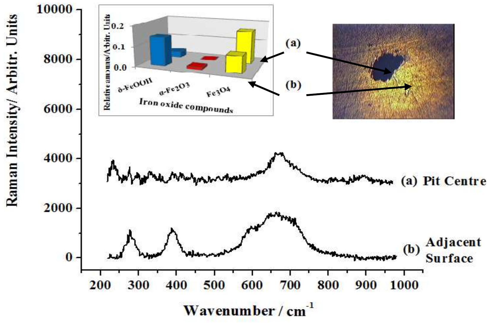 ). raman spectra measured ex situ: (a) at the centre of a