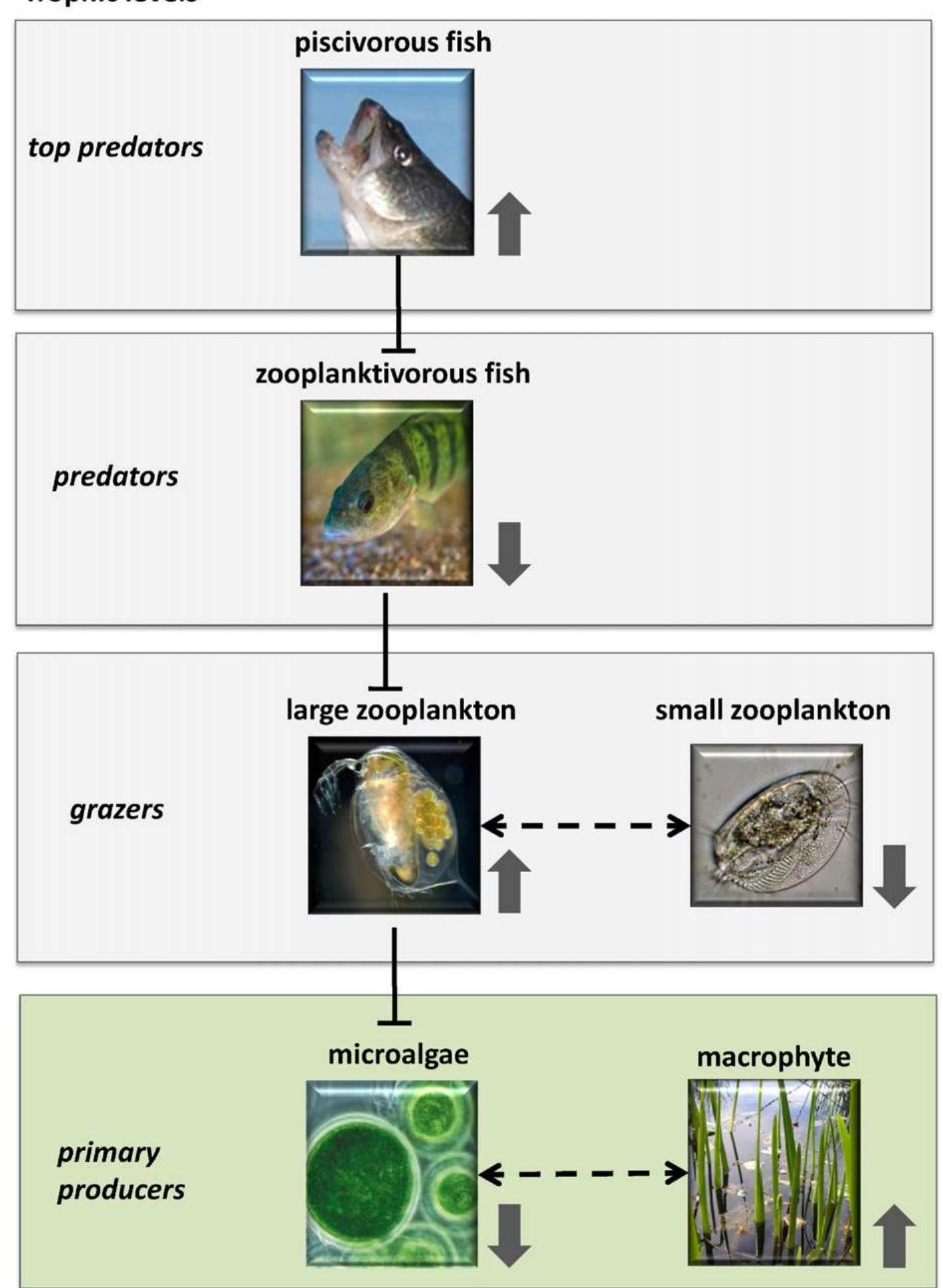 Figure 1 - from Synthetic ecology-a way forward for