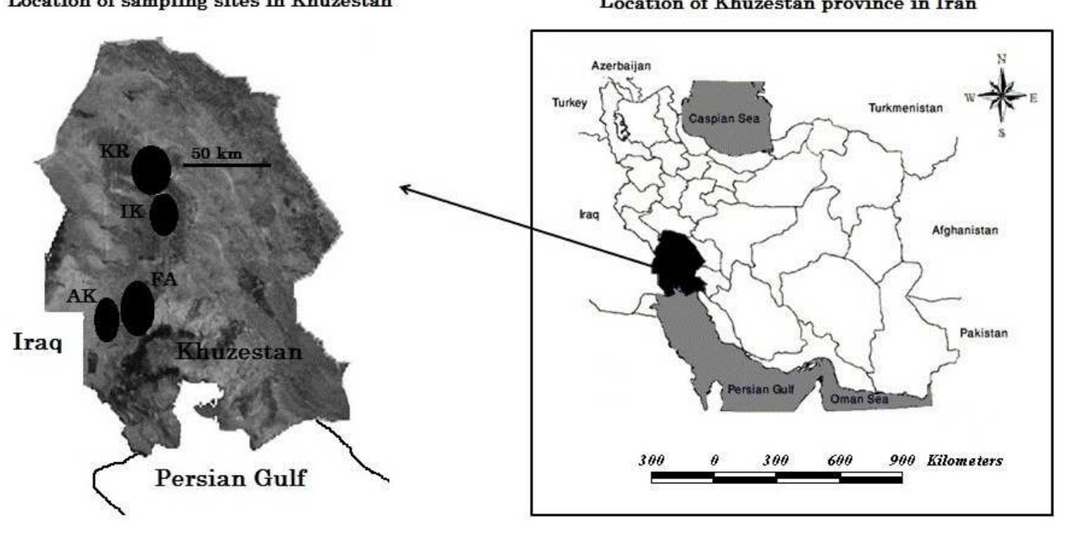 Map of the study area showing the position of 4 sugarcane