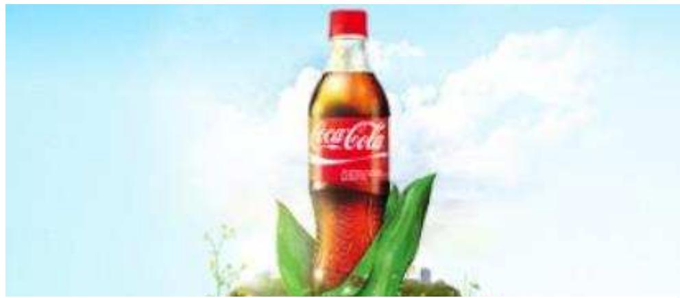 Coca Cola Research Research Papers - Academia.edu