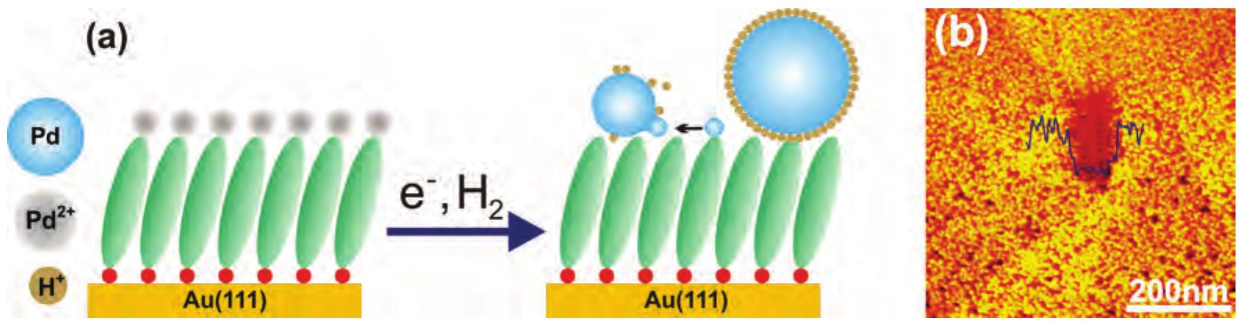 (a) schematic illustration of metallization process through