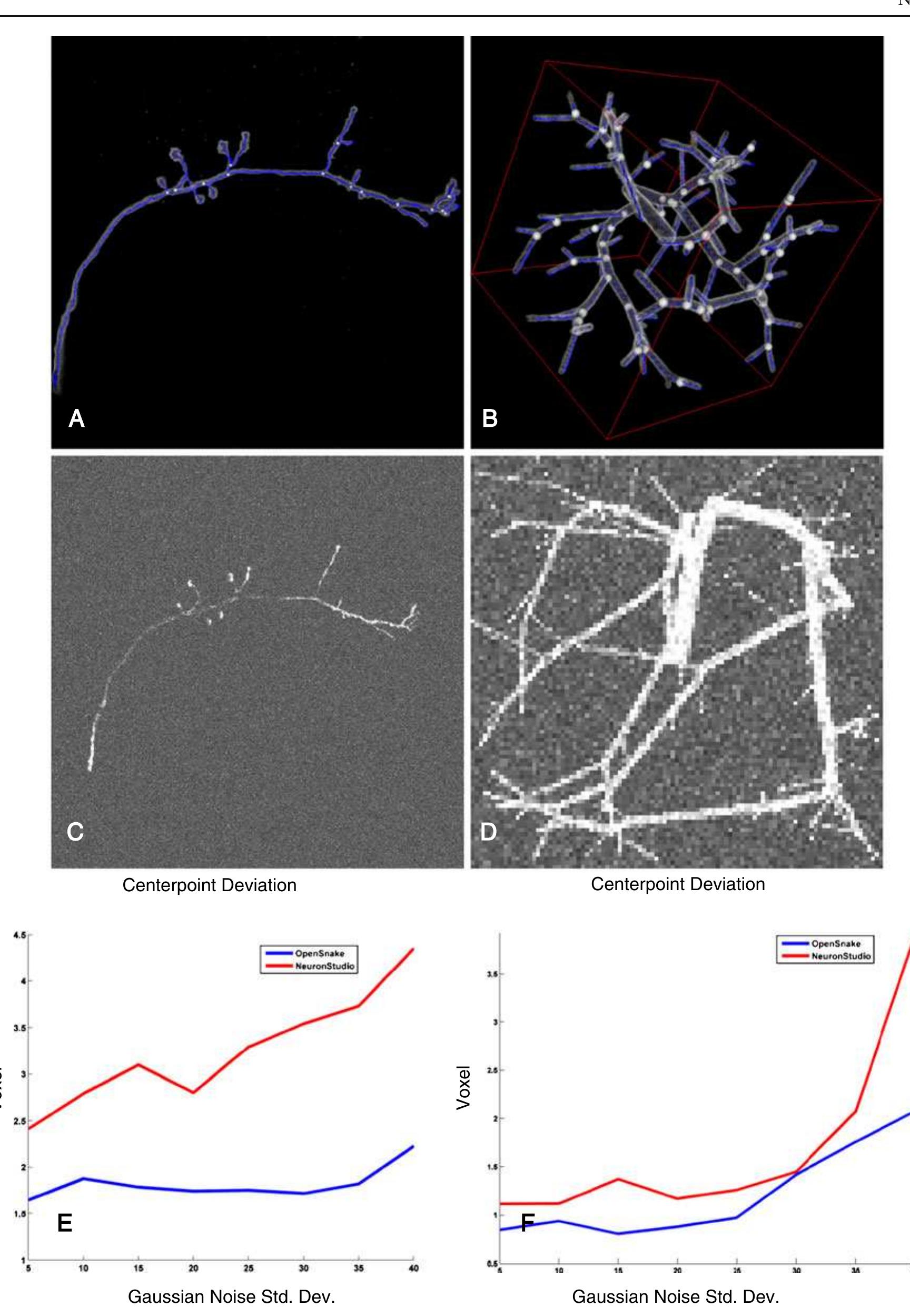Tracing synthetic data by open-curve snake and neuro-
