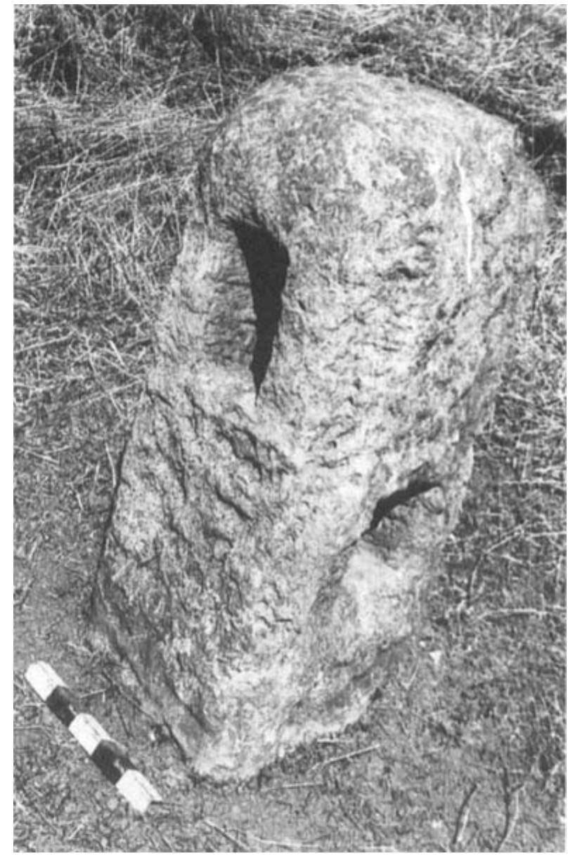 A stone anchor of grapnel type used as a mooring bit found