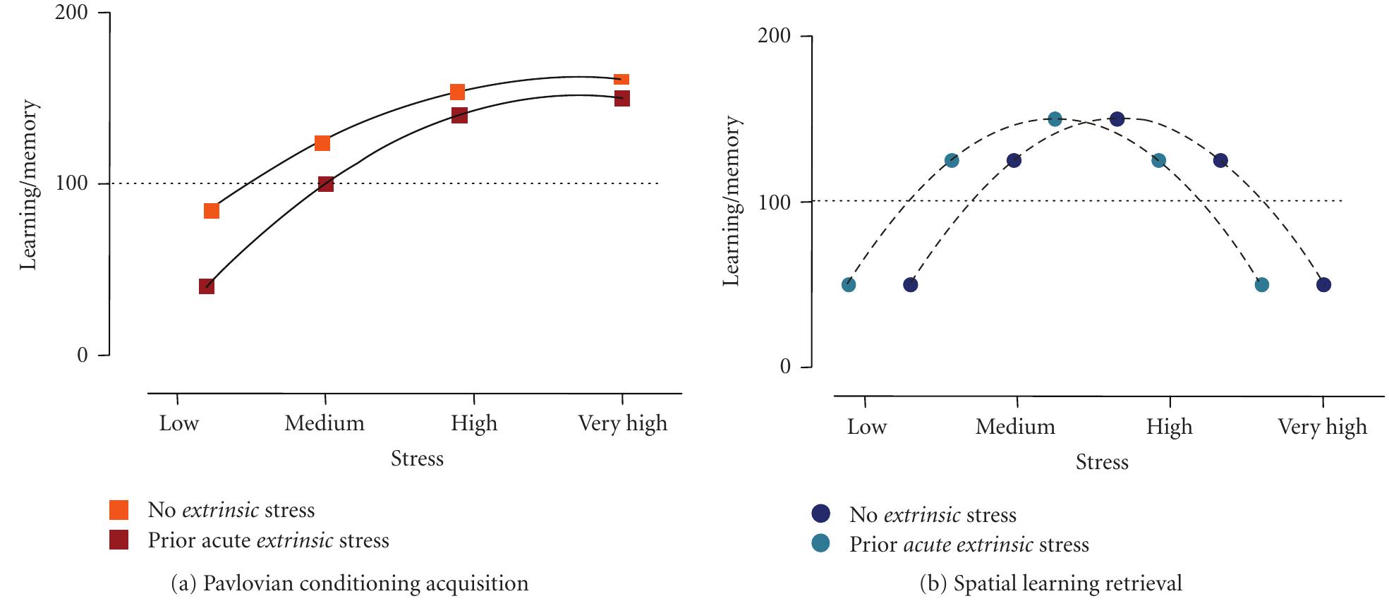 Impact of “acute extrinsic” stress on memory function.