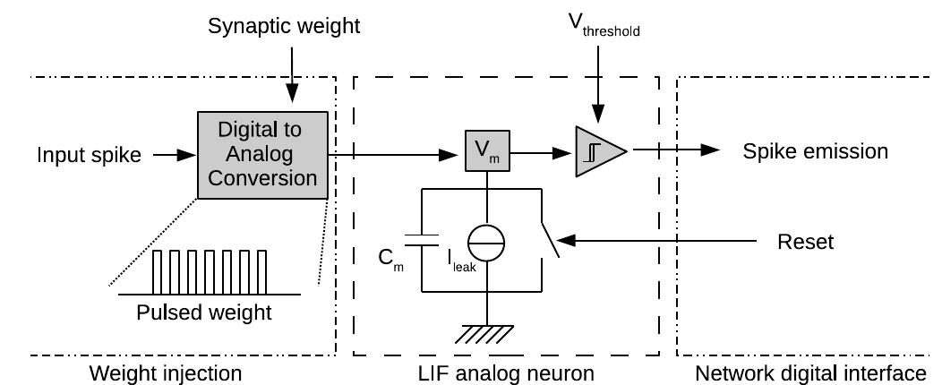 Analog lif neuron surrounded by weight injection and spike