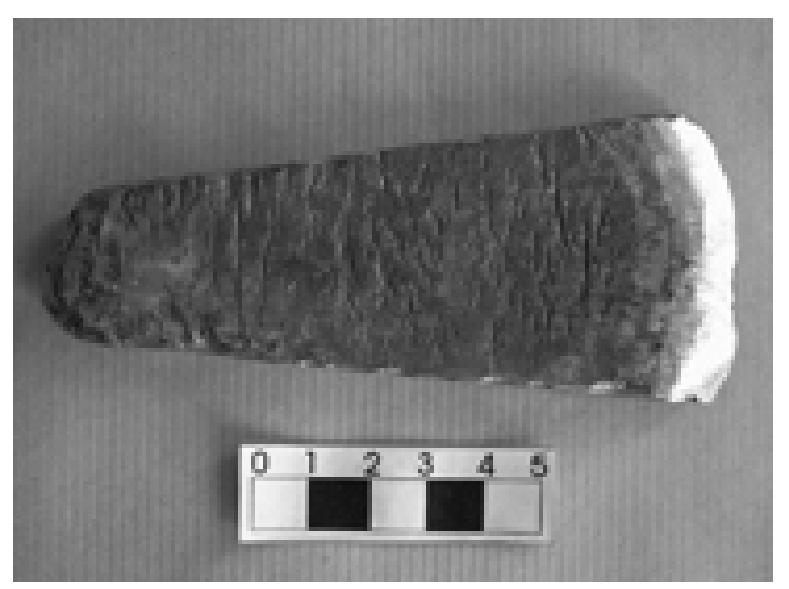 Bronze flat axe after forging (5% tin). fig. 2. untreated