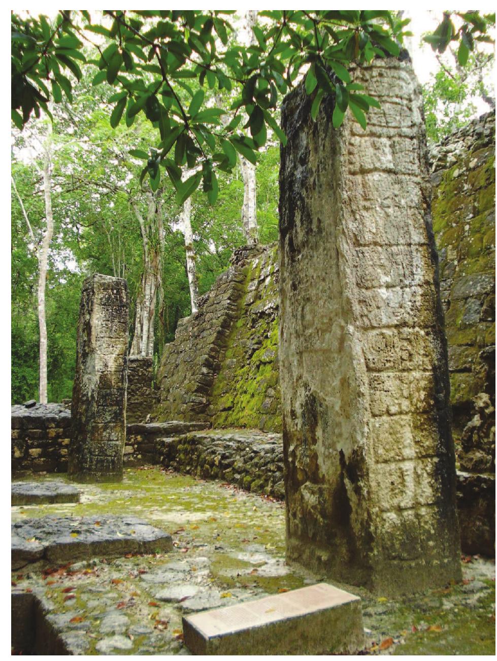 Stelae 28 and 29 on the north side of structure v (photo by
