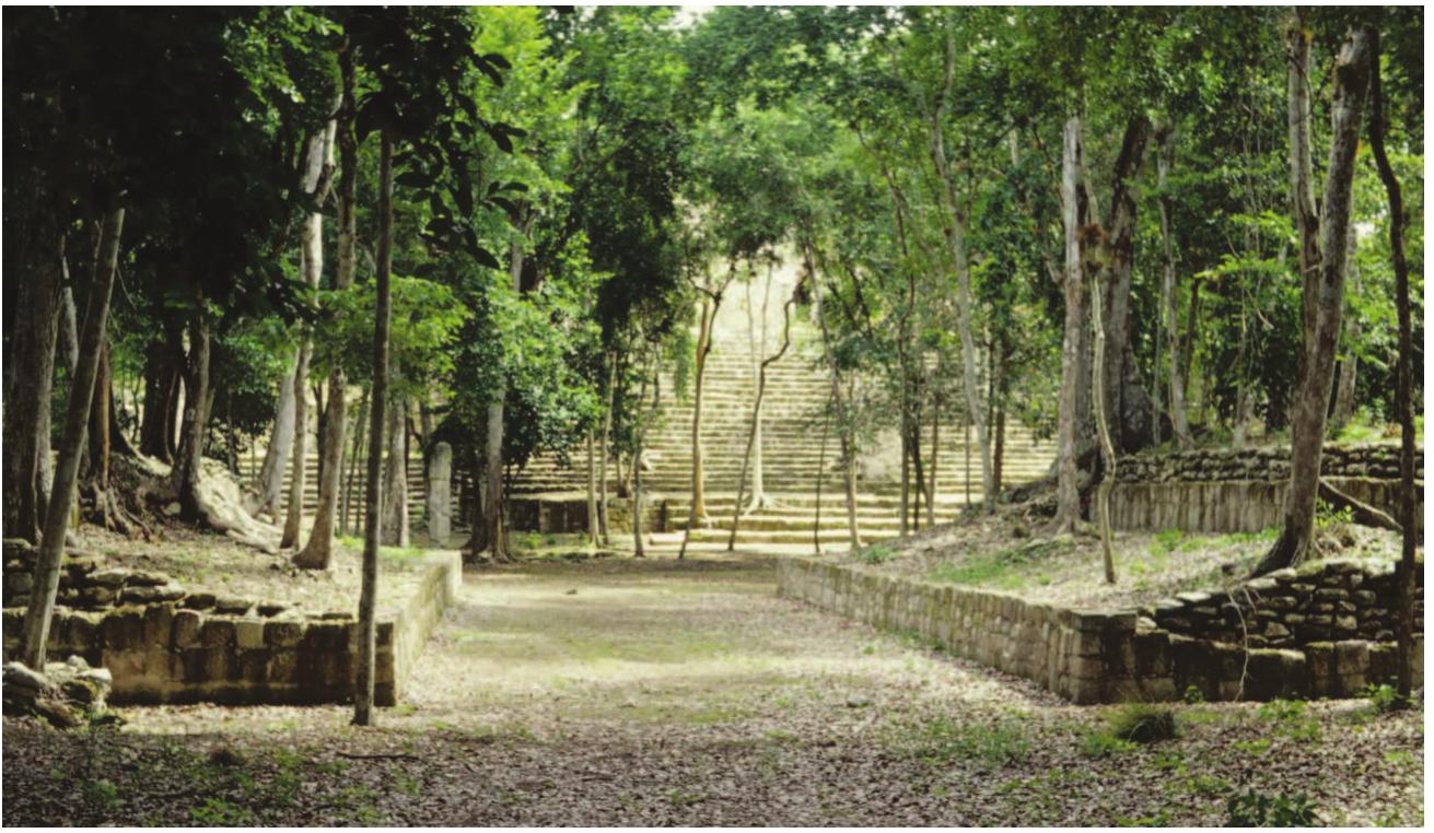 (PDF) Calakmul in Sight. History and Archaeology of an Ancient Maya City.