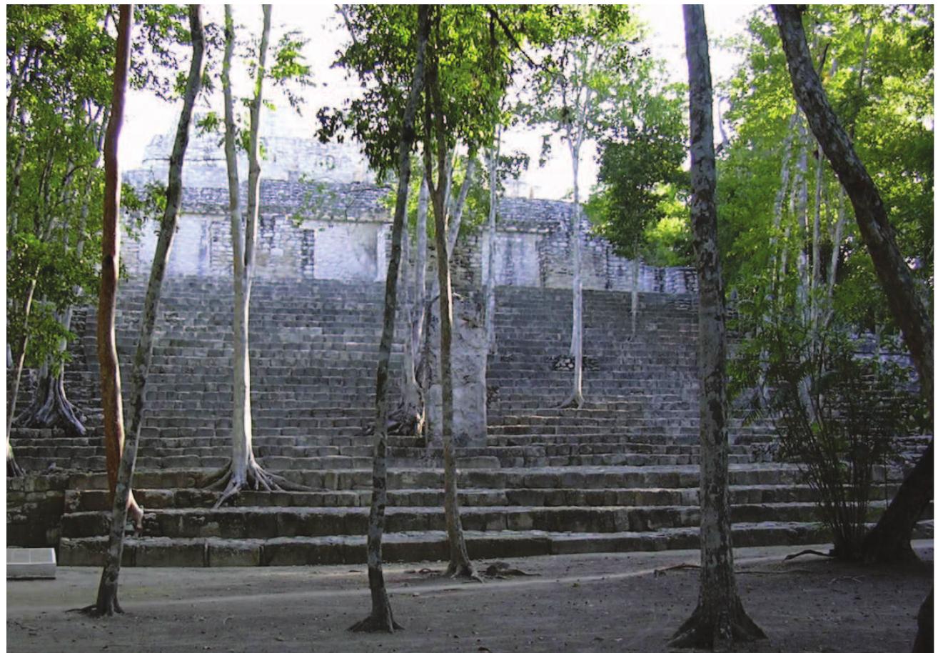 (PDF) Calakmul in Sight. History and Archaeology of an Ancient Maya City.