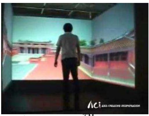 Cave*™ system. 3.1.1.4 large projection screens and cave