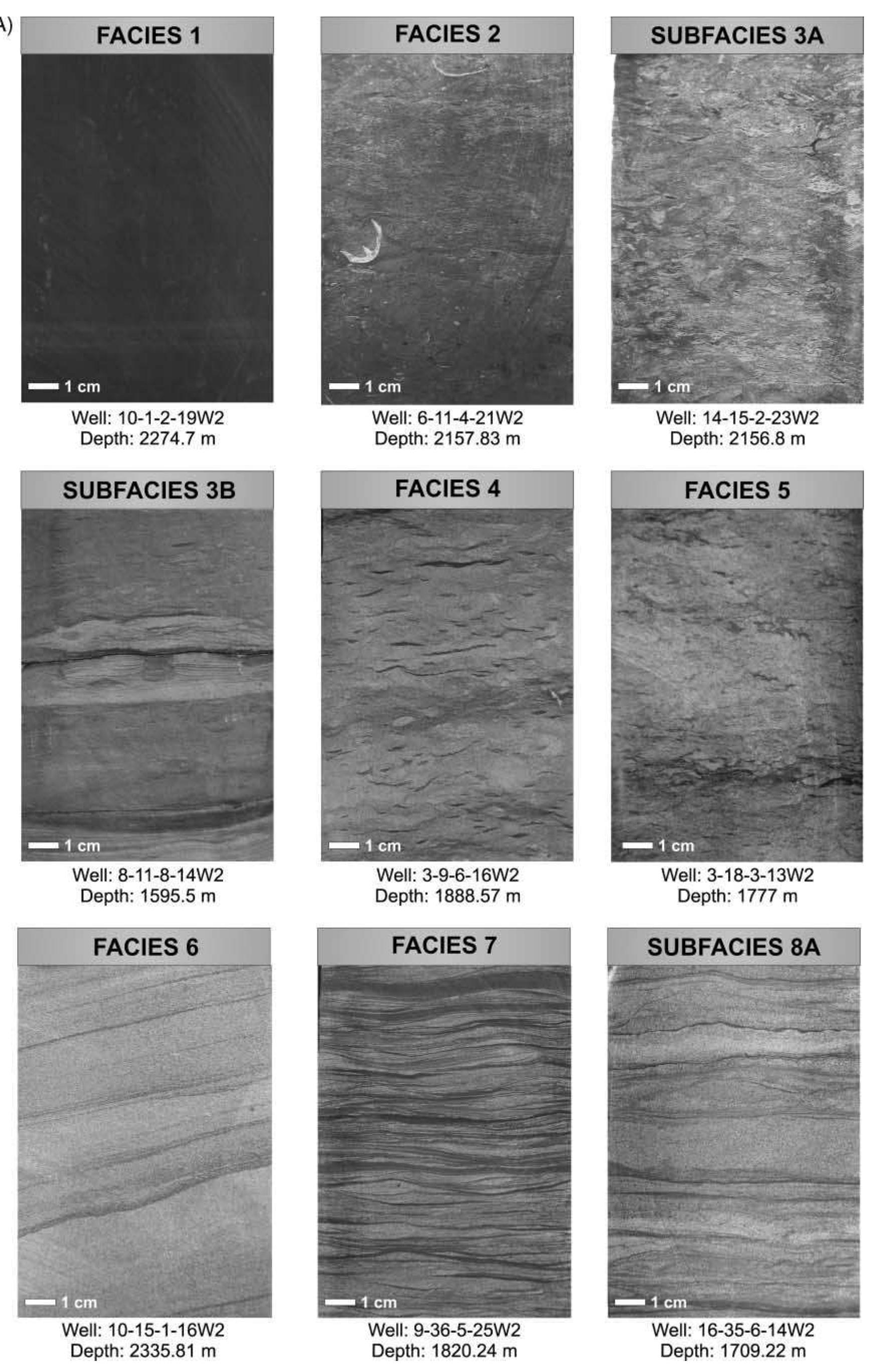 Core photographs showing the sedimentary facies defined in
