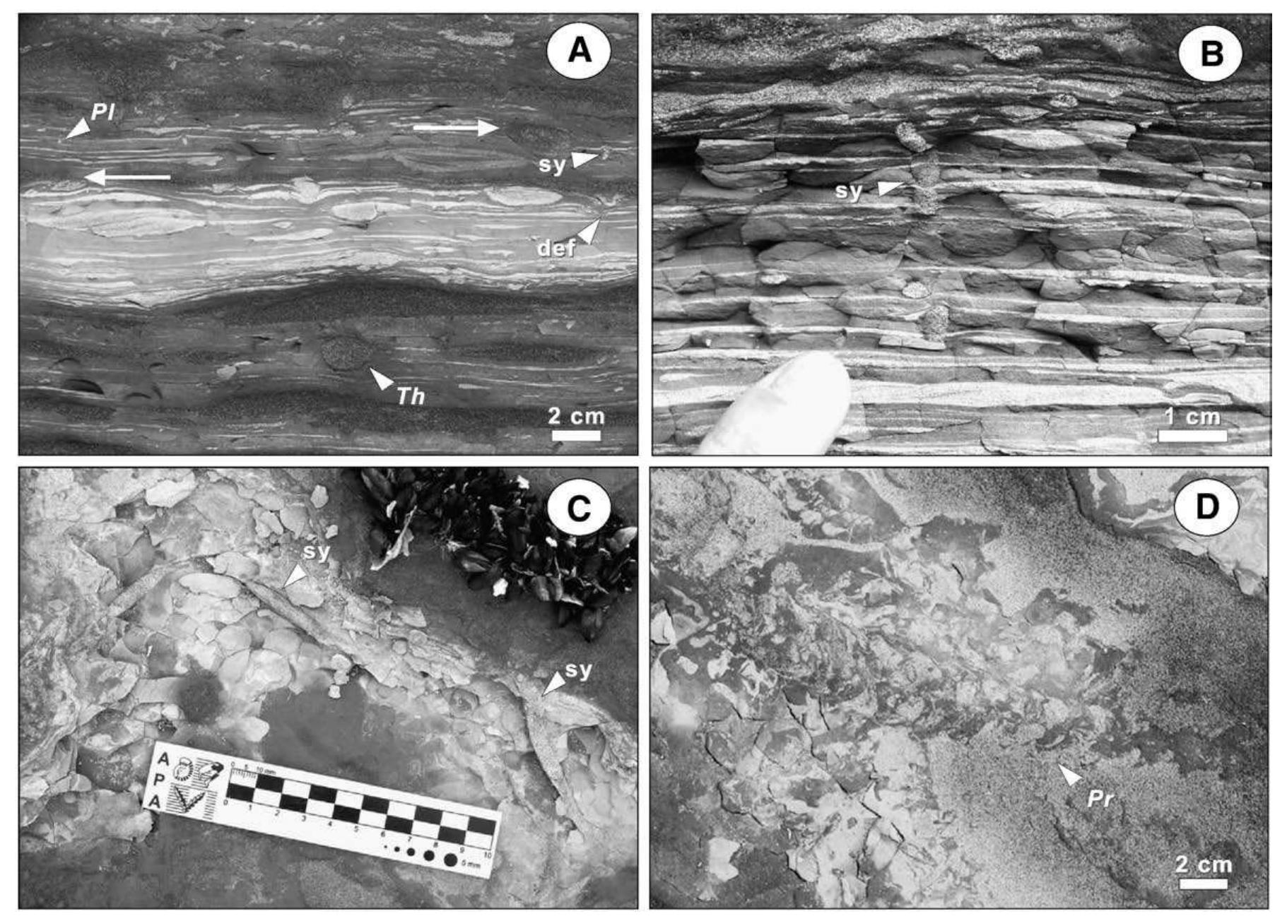 Facies 1. distal prodelta. a and b. cross-section view of