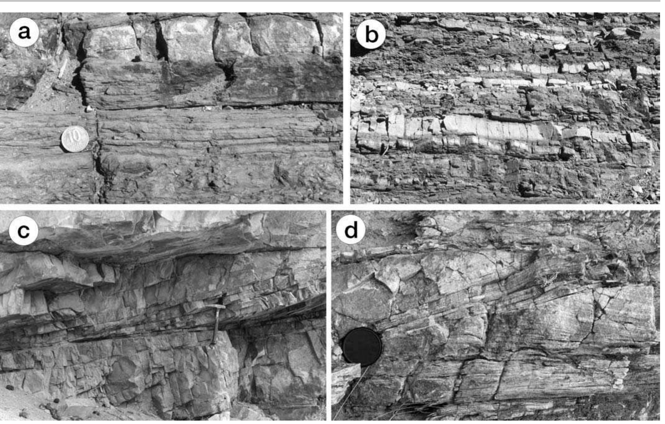 Sedimentary facies of the pico de halcén member in the azul