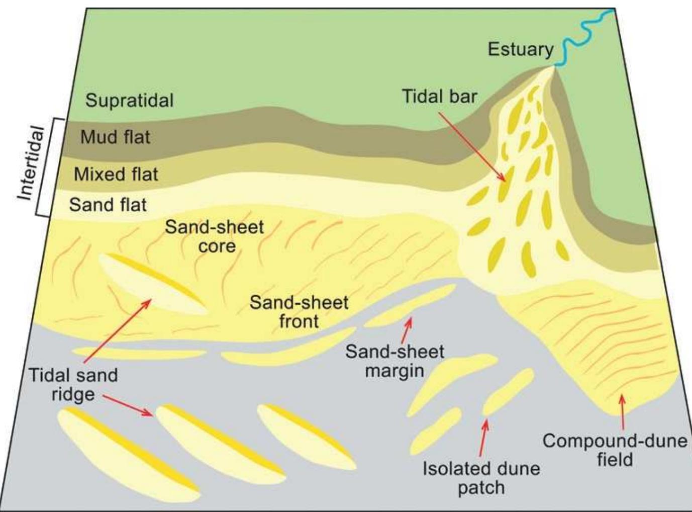 Sedimentary environments and sand-body distribution in