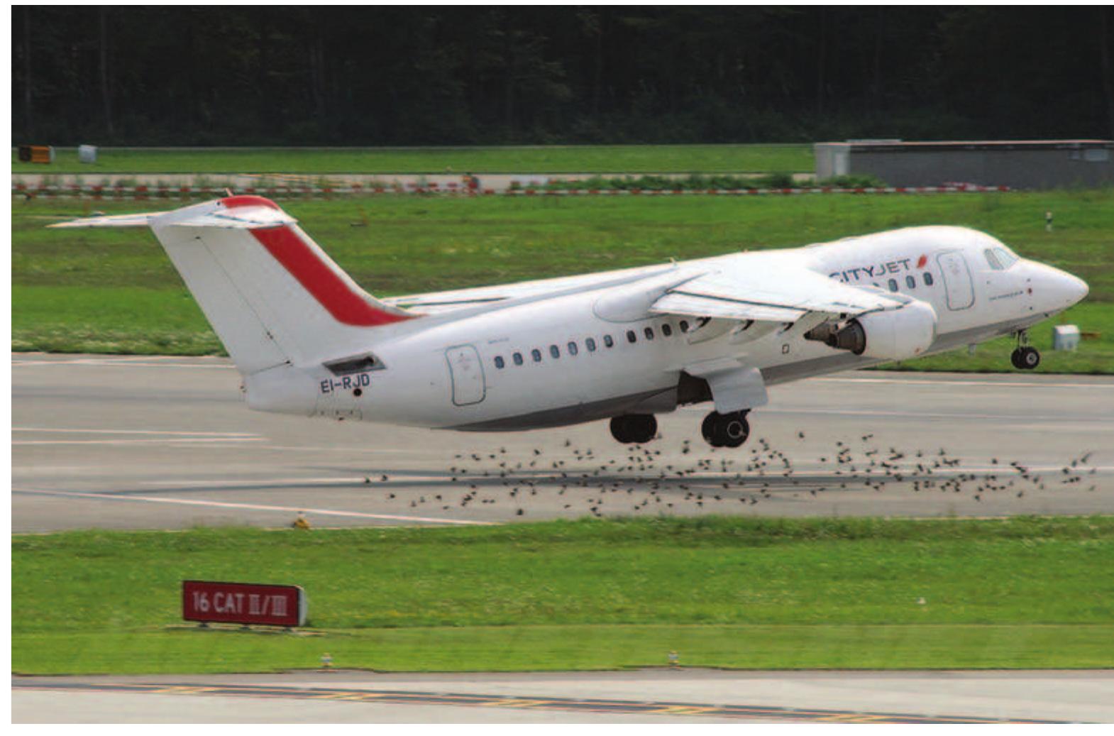 (PDF) Runway Safety: FOD, Birds, and the Case for Automated Scanning