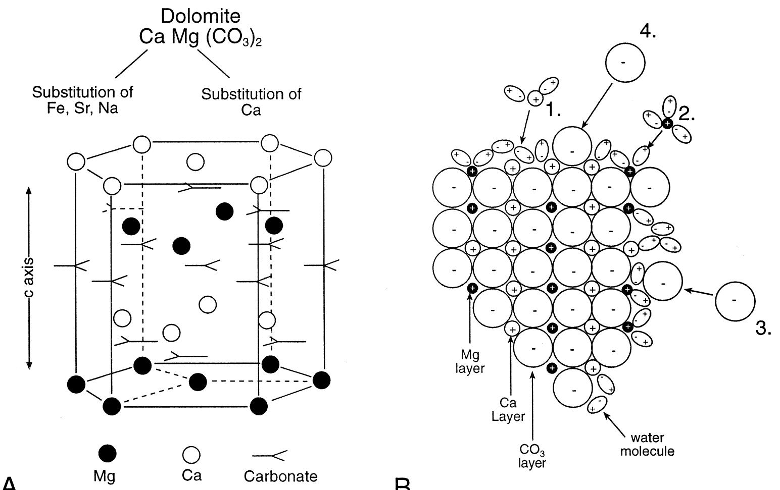 Dolomite lattice. (a) ideal structure of stoichiometric