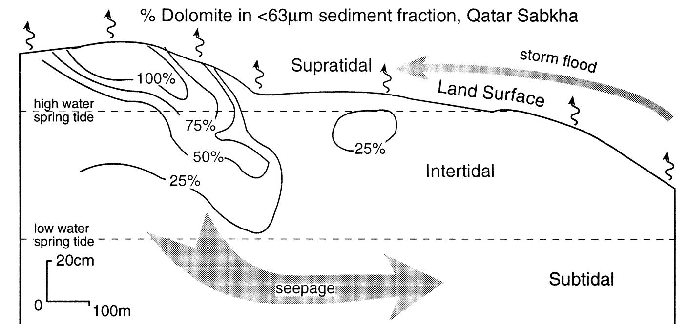 Figure 6 - from Dolomite: occurrence, evolution and