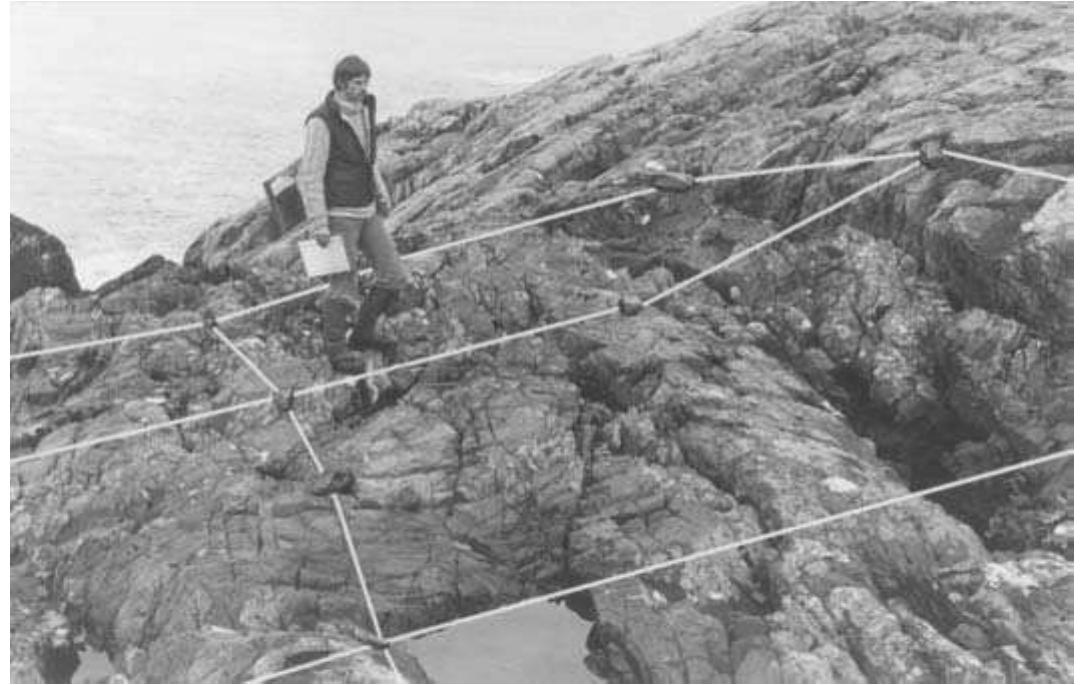 Figure 33 - from Barnes 2004 - Basic Geological Mapping