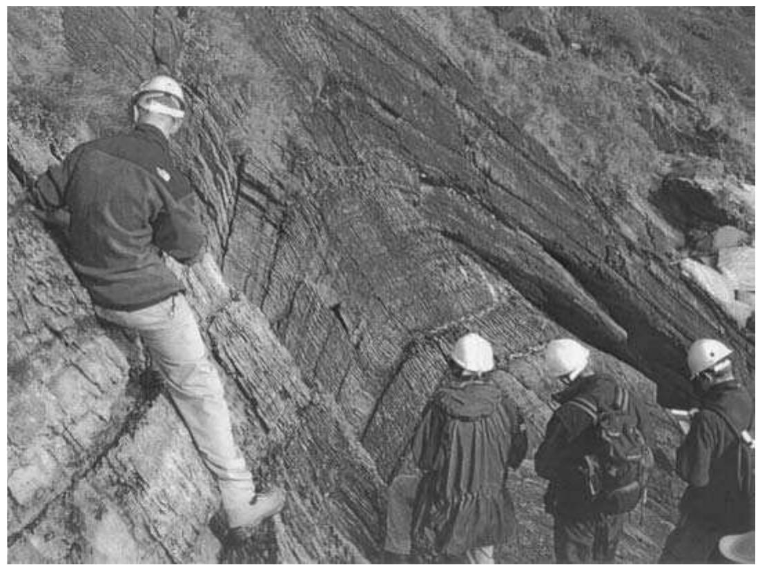 16 axial-plane cleavage in devonikan slates at combe martin