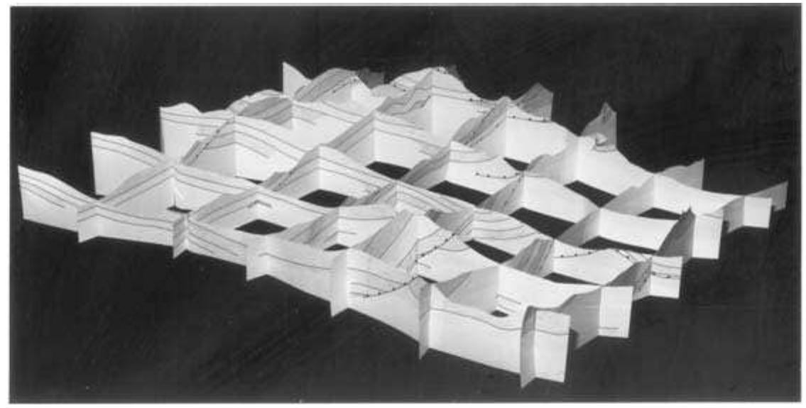 8 photograph of an egg-crate model (courtesy of s.j.