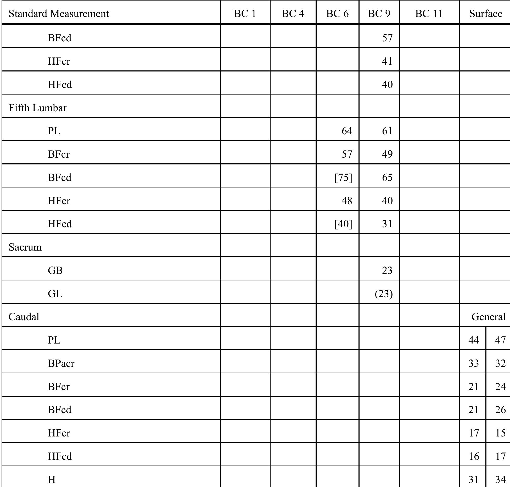 Measurements of bison vertebrae! (concluded). 'see von den