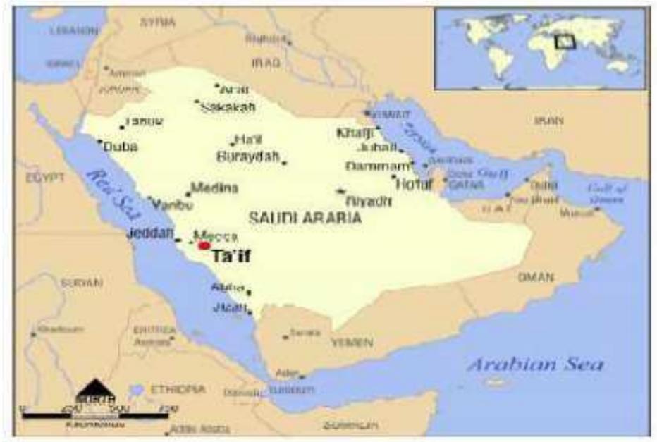 Taif location in the map of saudi arabia the present model