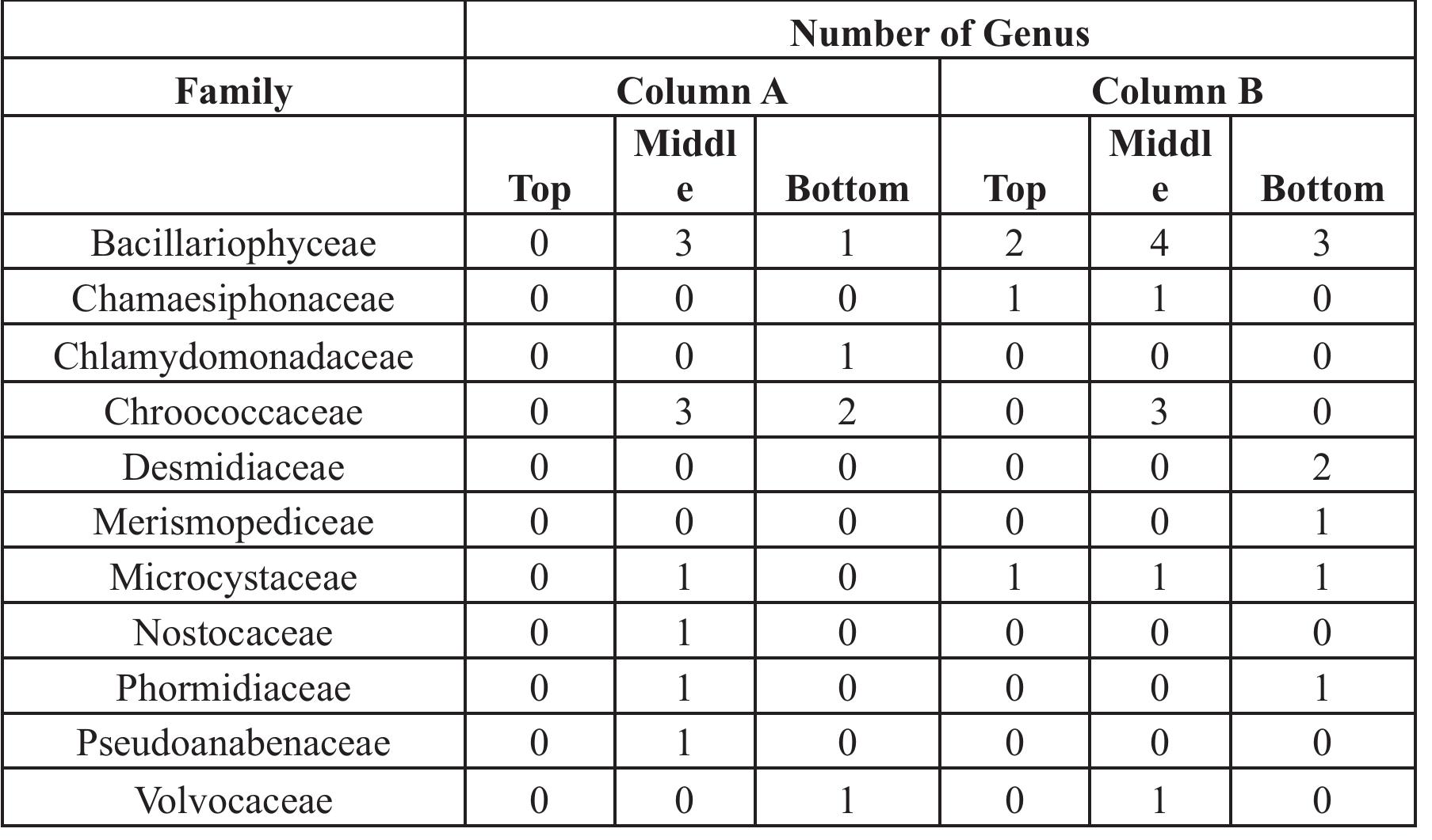 Algae identified on winogradsky columns phytoplankton and