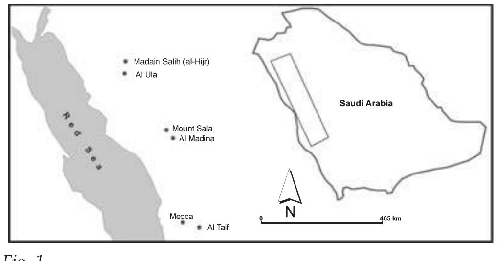 (PDF) The Inscription of Zuhayr, the oldest Islamic Inscription (AH 24 ...