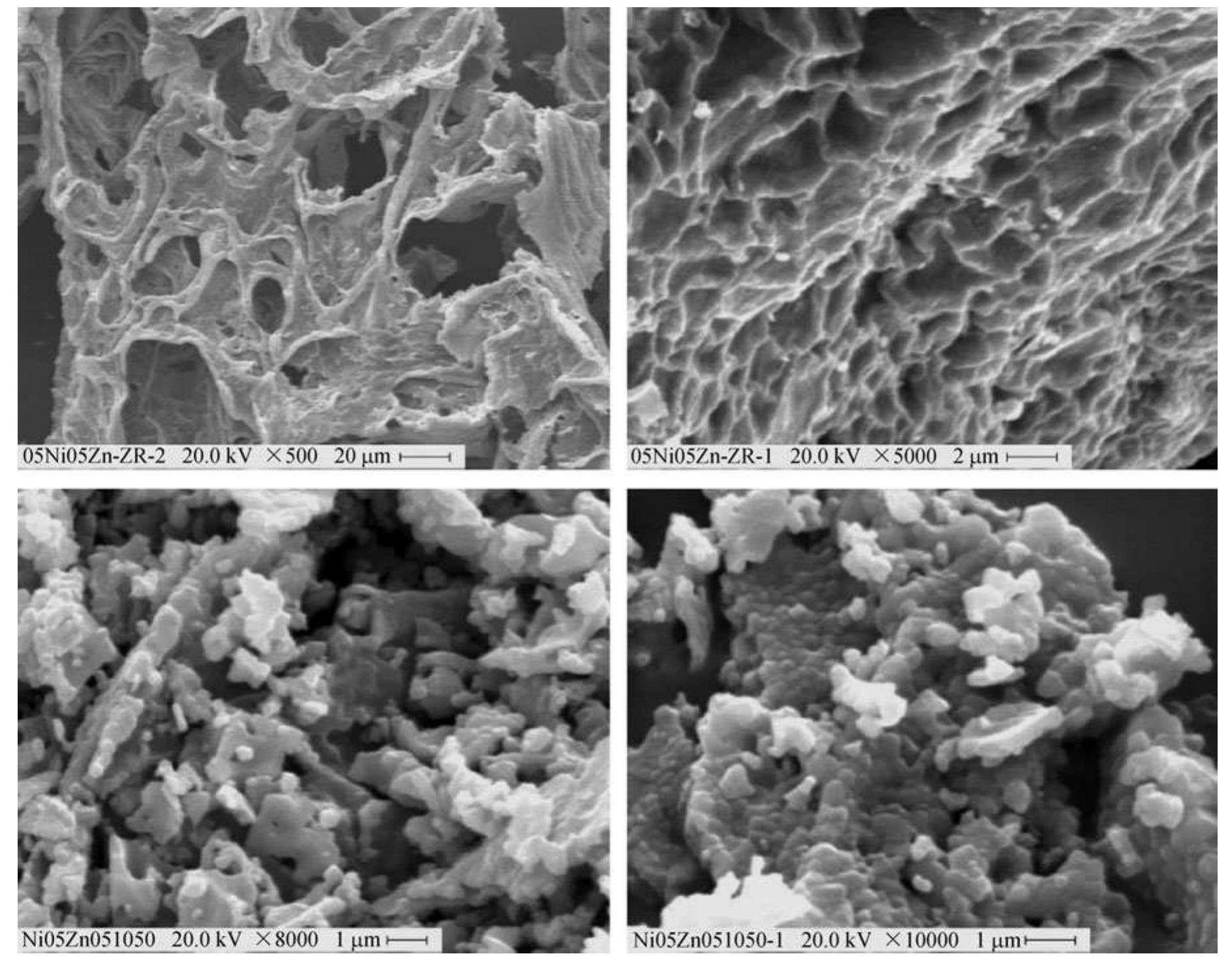 Sem images of the sample powders after auto-combustion