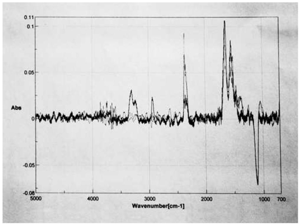 Ftir/atr analysis — the spectra of three samples of wool