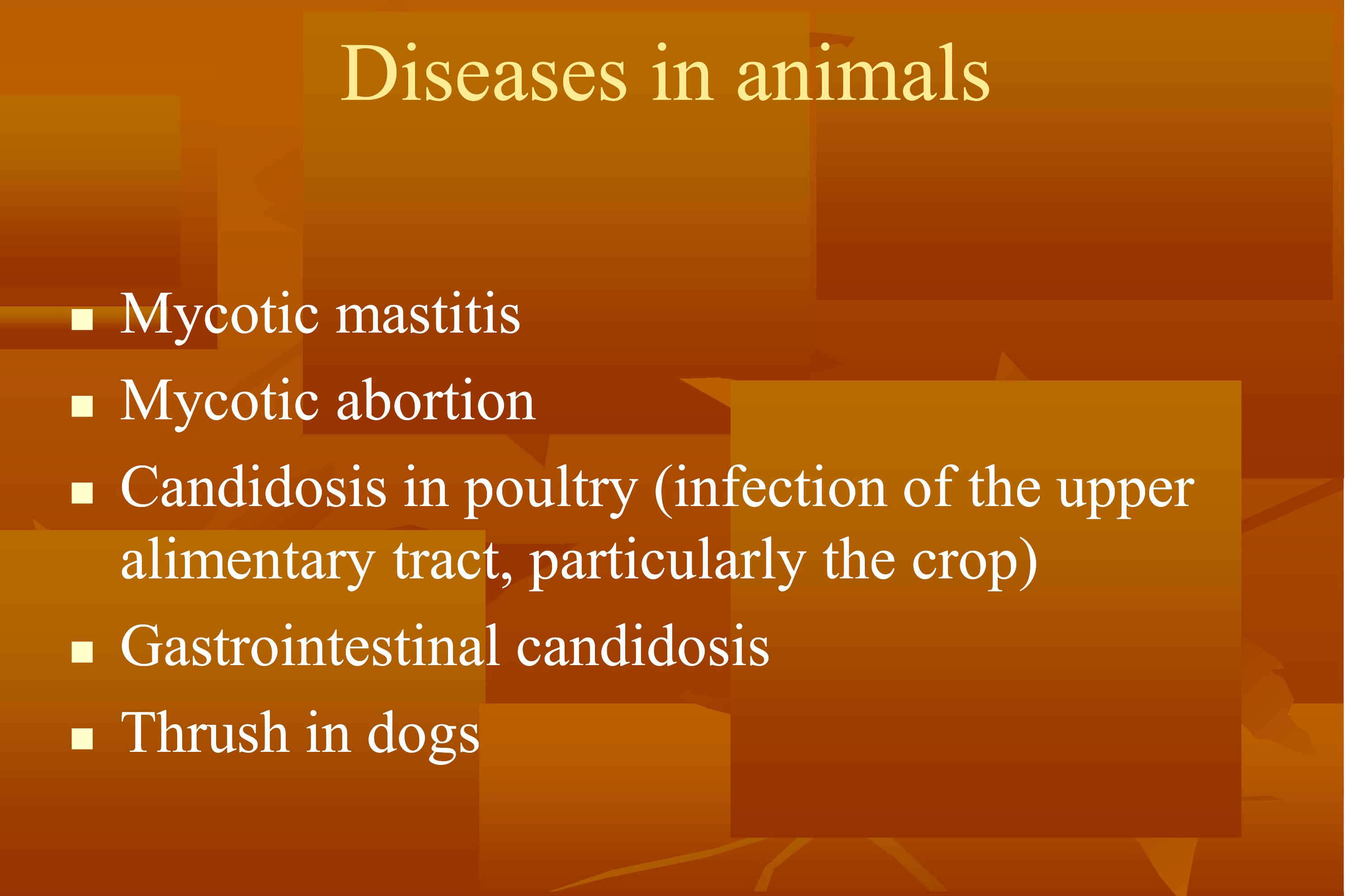 Figure 32 - Yeasts of medical importance ppt lecture by