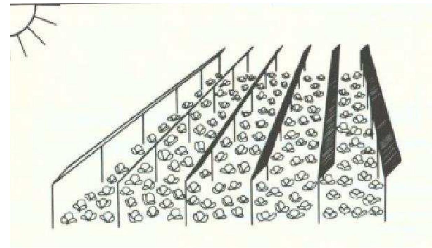 First model sketch of agrivoltaic system (goetzberger and