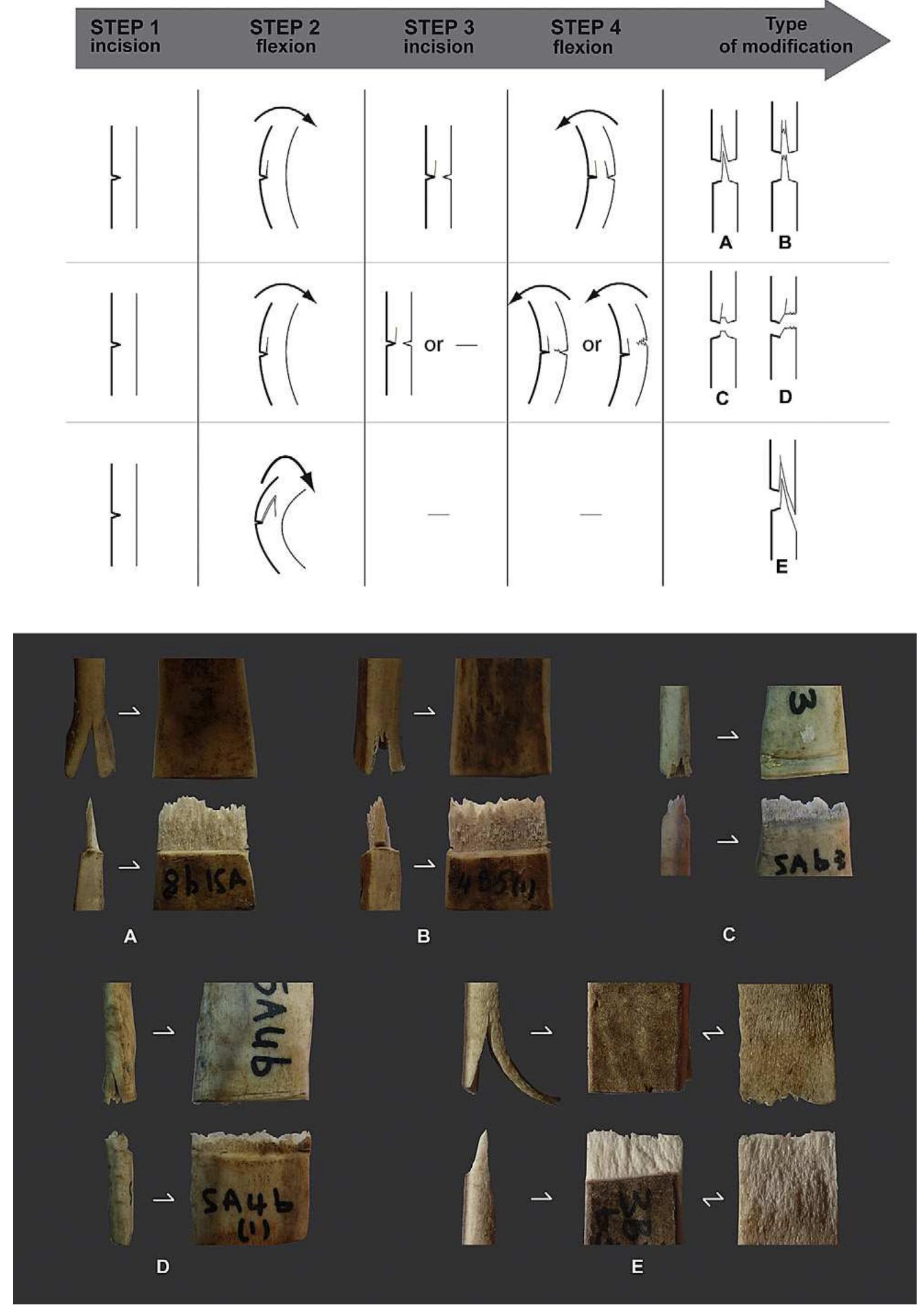 Operational chain of basal splitting by incision and
